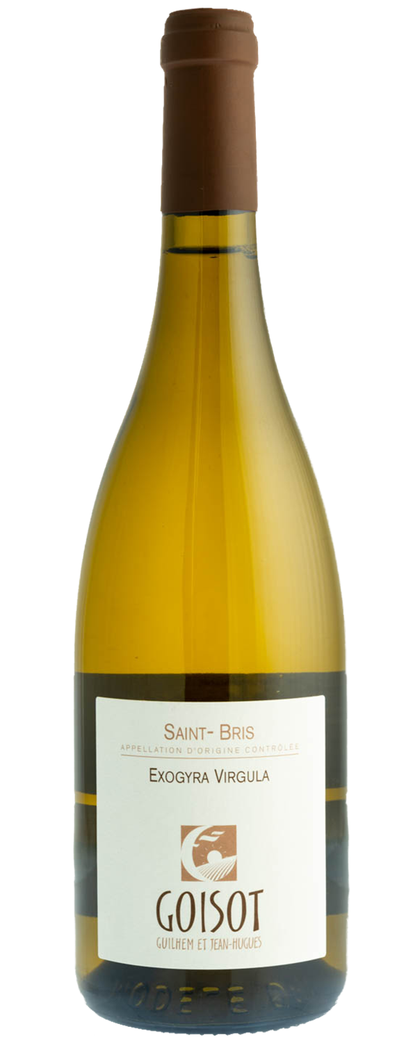 SAINT-BRIS EXOGYRA VIRGULA - Mes Vendanges