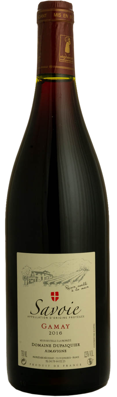 GAMAY - Mes Vendanges