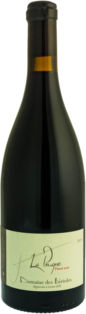 LA PRUGNE - Mes Vendanges