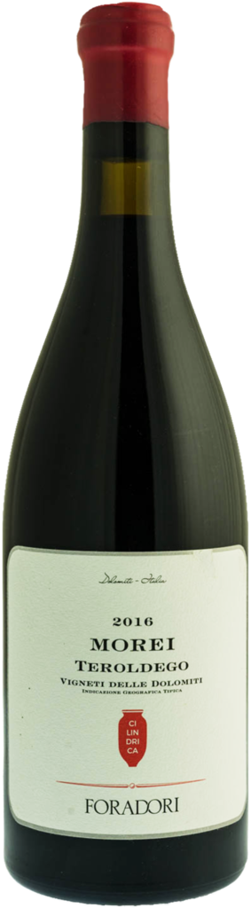 MOREI TEROLDEGO CILINDRICA - Mes Vendanges