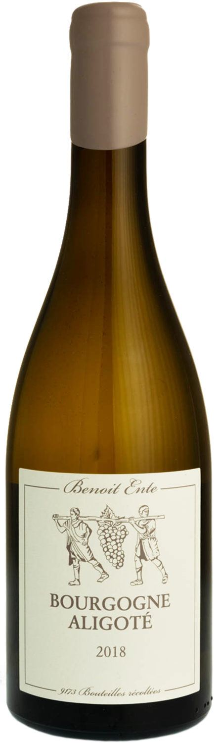 ALIGOTE - Mes Vendanges