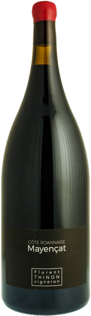 MAYENCAT MAGNUM - Mes Vendanges