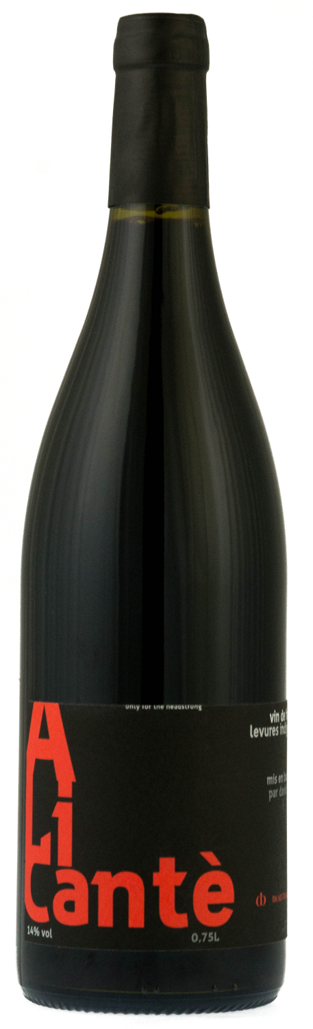 ALICANTE - Mes Vendanges